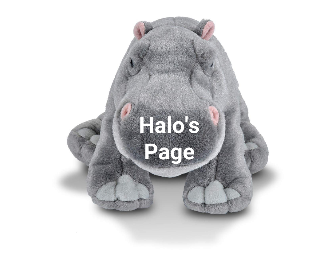 Contact Us – Quaggy Development Trust